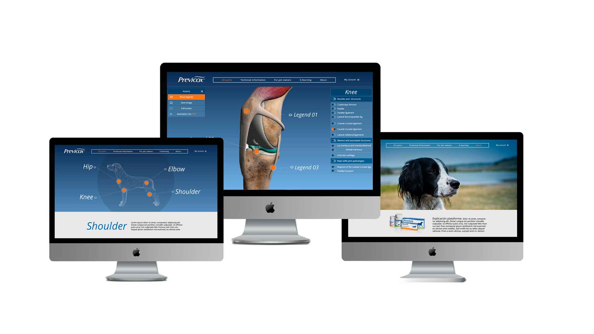 Previcox Medical - Pixel Medical Animation